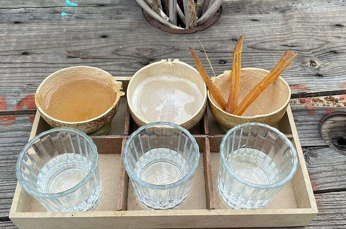 Agave Tasting Journey from Pulque to Mezcal - Final Thoughts