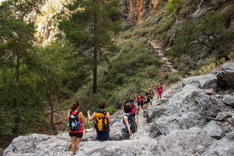 Agia Irini Gorge & Sougia Beach - Key Points