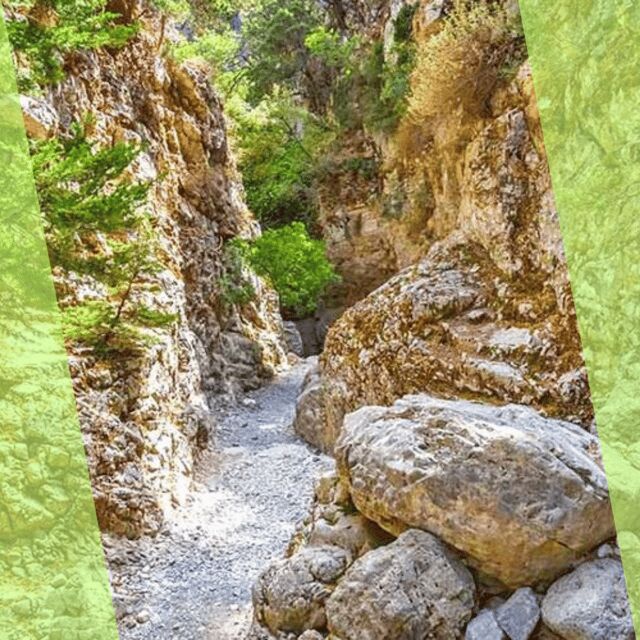 Agia Marina : Imbros Gorge Superb Hiking Tour - Summary of the Experience