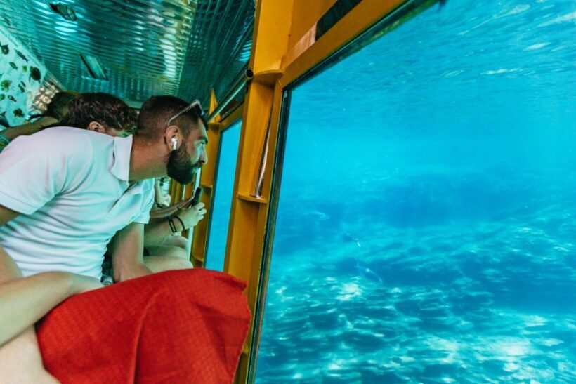 Agios Nikolaos: Semi-Submarine Cruise - Who Will Love It?