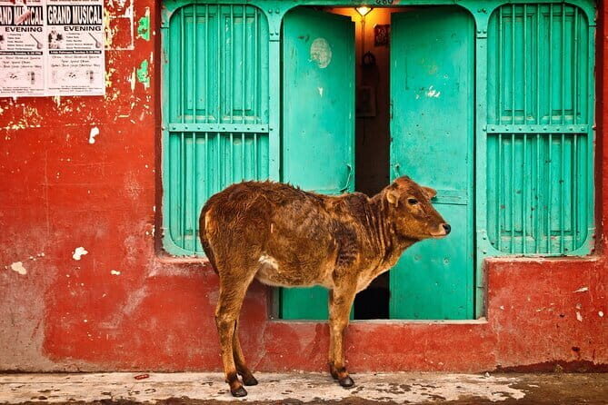 Agra and Jaipur Two Days Private Trip from Delhi by Fastest Train - The Sum Up