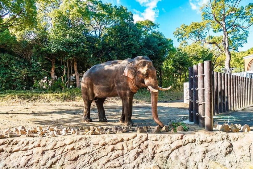 Agra: Taj Mahal Sunrise Tour with Elephant Sanctuary - The Sum Up