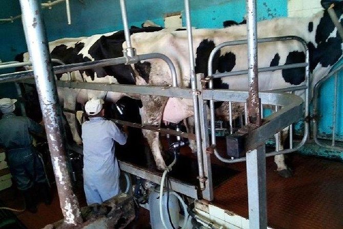 Agriculture Green Tour - Authentic Experiences That Shine