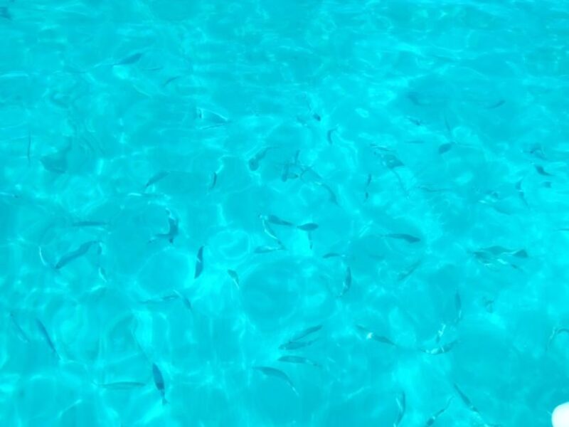 Agrigento: Private Torre Salsa Natural Reserve Boat Tour - What to Expect on the Tour