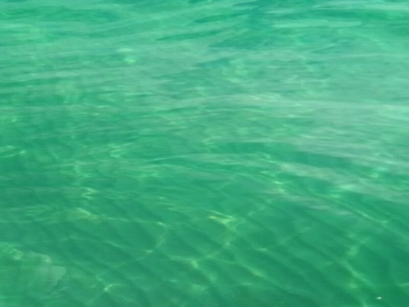 Agrigento: Stair of the Turks Cliffs Boat Tour & Swim Stops - Why Choose This Tour?