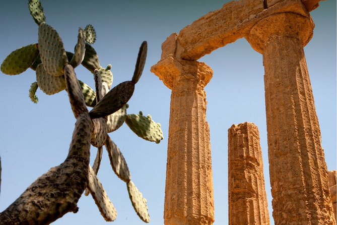 Agrigento to Siracusa with Valley of Temples and Roman Villa Trip - Who Will Love This Tour?