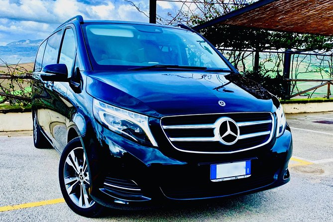 AGRIGENTO Valley of Temples Private Tour from Palermo with Guide Driver - Who Would Love This Tour?