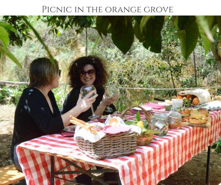 Agrigento: Valley of the Temples Gardens Picnic Experience - What’s Included and Whats Not
