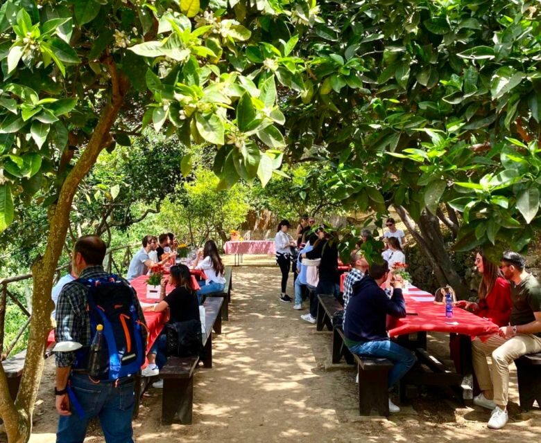 Agrigento: Valley of the Temples Gardens Picnic Experience - The Value Proposition