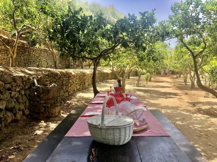 Agrigento: Valley of the Temples Gardens Picnic Experience - FAQ