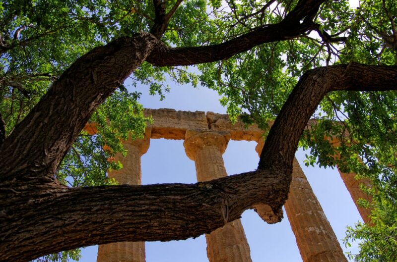 Agrigento: Valley of the Temples Private Archeological Tour - What Travelers Say