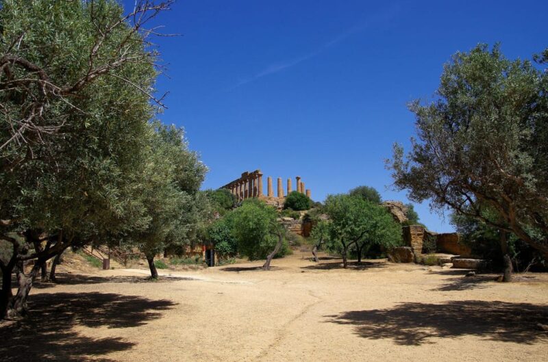 Agrigento: Valley of the Temples Private Archeological Tour - The Authentic Experience
