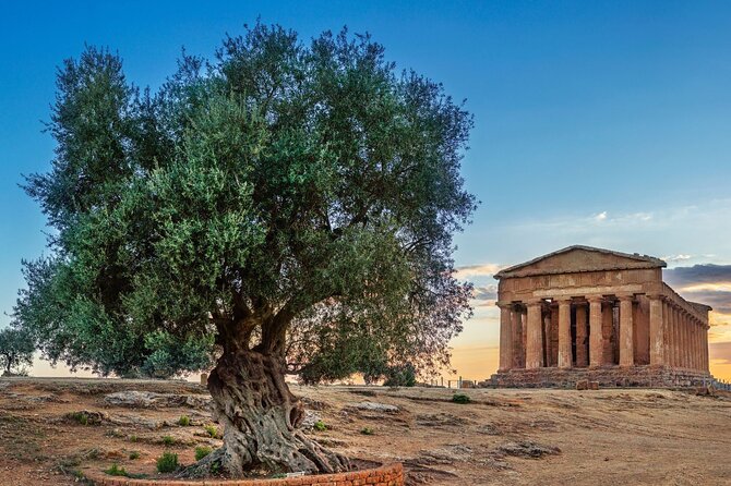 Agrigento; Valley of the Temples, Scala Dei Turchi From Palermo, Private Tour - The Sum Up