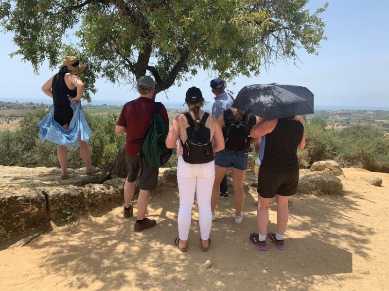 Agrigento: Valley of the Temples Tour Skip-the-Line Entry - What the Reviews Tell Us