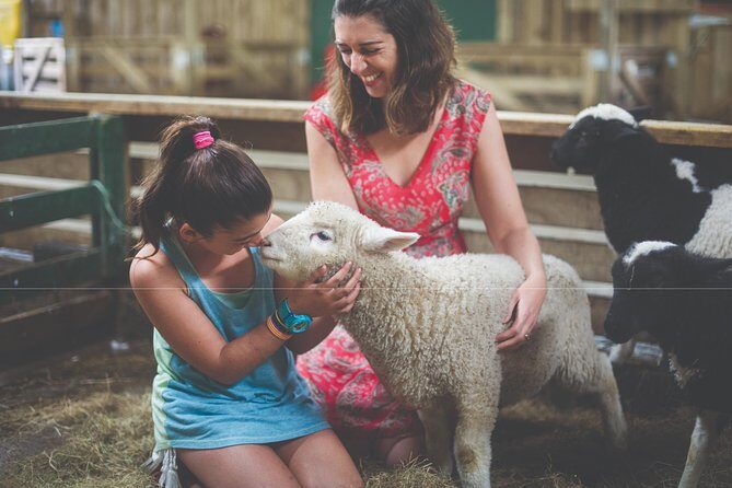 Agrodome Farm Experience including Farm Show and Farm Tour - Rotorua - FAQs
