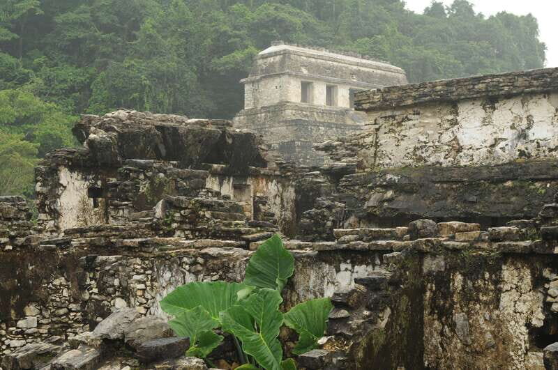 Agua Azul, Misol-Ha & Palenque Ruins from San Cristobal - Who Will Love This Tour?