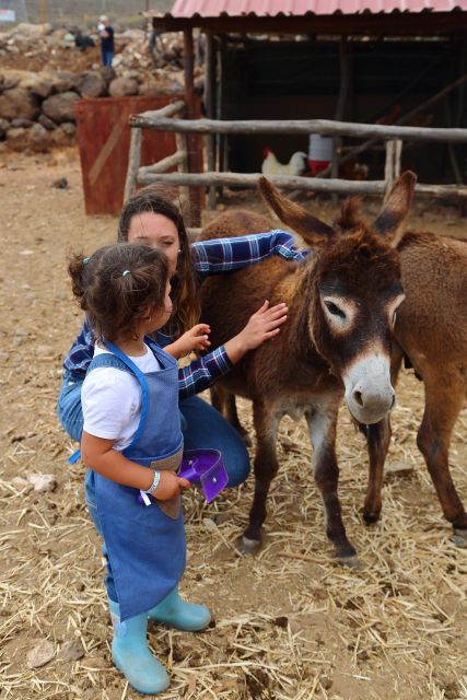 Agüimes : Be a farmer for the day at La Jaira de Ana - Key Points