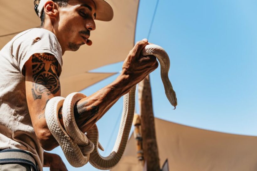 Agüimes: Cocodrilo Park Zoo Entry Ticket - An In-Depth Look at Cocodrilo Park