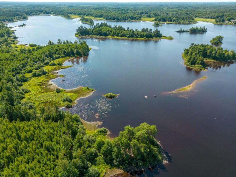 Agunnaryd: Canoe Rental with Life Jackets and Paddles - Key Points