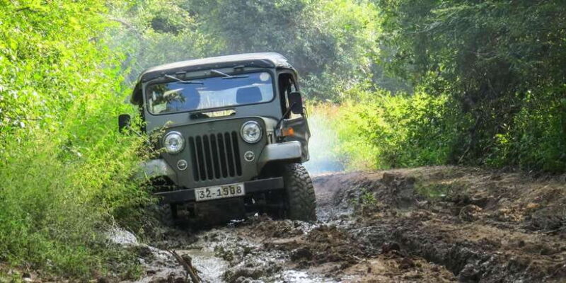 Ahangama: Udawalawe National Park Safari with Hotel Pickup - What’s Included and What’s Not