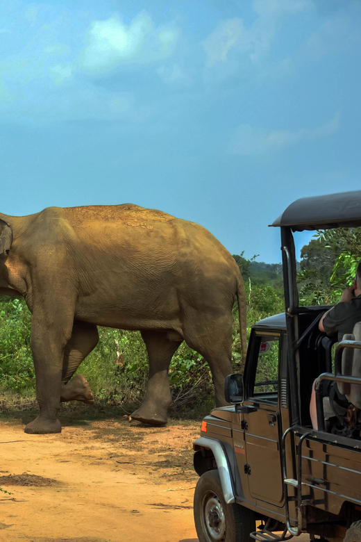 Ahangama: Udawalawe National Park Safari with Hotel Pickup - The Experience: Authentic and Comfortable