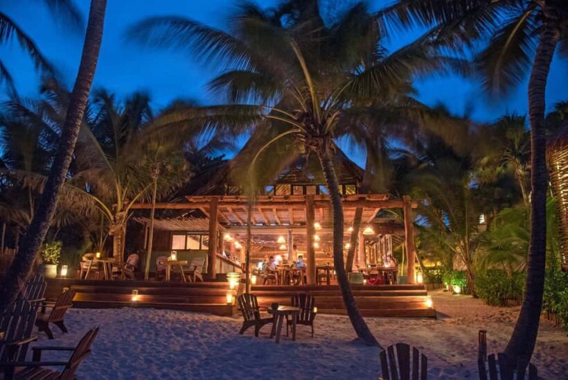 Ahau de Noche: Dinner under the stars and iconic art in Tulum - Key Points