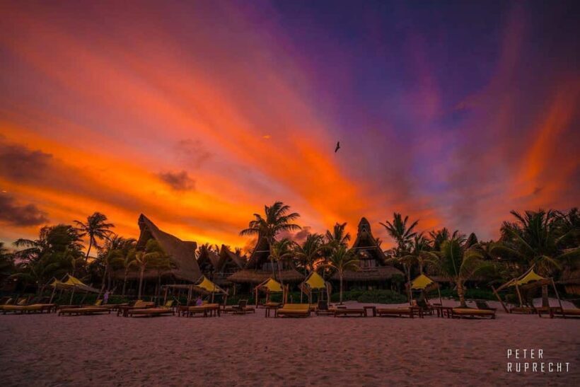 Ahau de Noche: Dinner under the stars and iconic art in Tulum - The Welcome Cocktail: Sincronía 11:11
