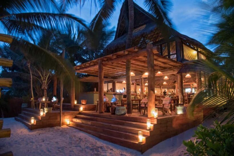 Ahau de Noche: Dinner under the stars and iconic art in Tulum - Who is This Experience Best For?