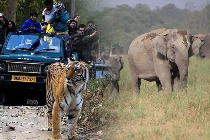 Ahmedabad to Jim Corbett: 3-Day Double Safari Wildlife Tour - Key Points