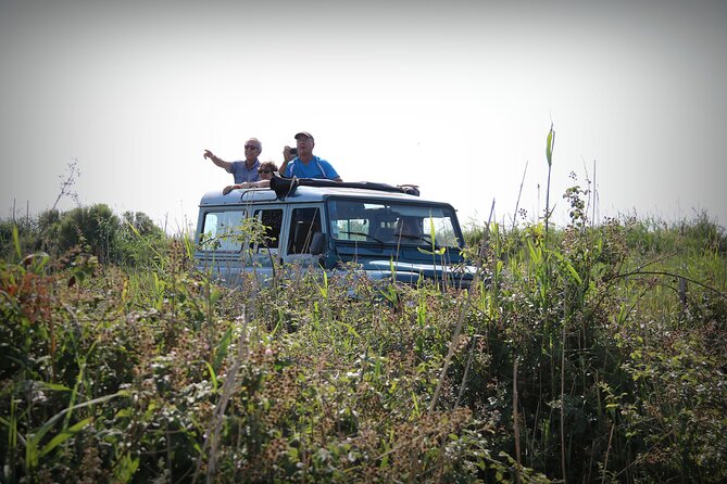 Aigues Mortes: 4x4 photo safari in the Camargue - FAQ