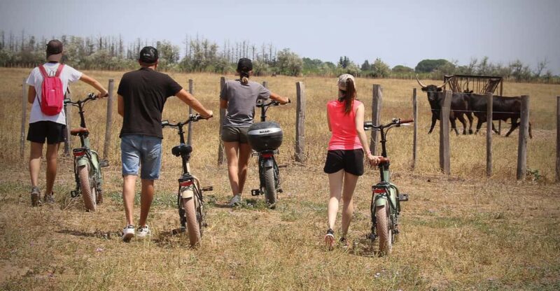 Aigues Mortes: safari en vélo - Ebike tour in Camargue - Key Points