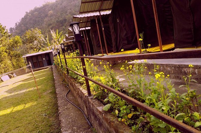 Air-cooled camp and rafting in Rishikesh (2n3d) - The Activities: From Relaxing to Thrilling