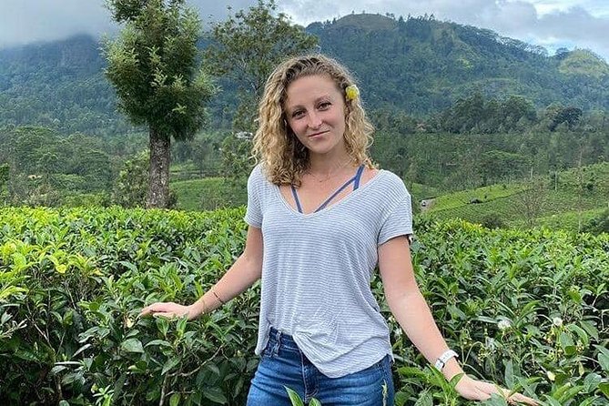 Air port Pick up and Drop to Kandy - Final Thought