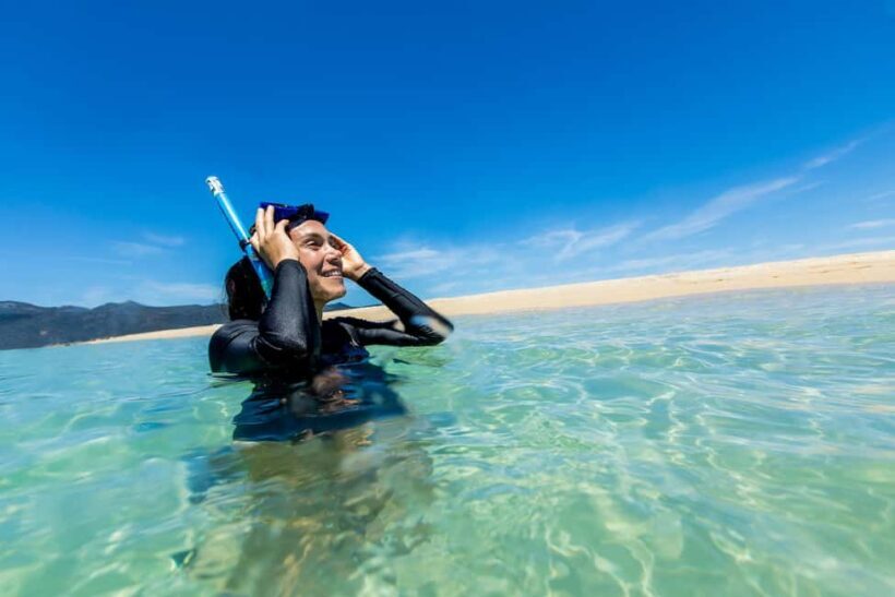 Airlie Beach: Adults-Only Whitehaven Beach Sailing Tour - Snorkelling & Marine Life