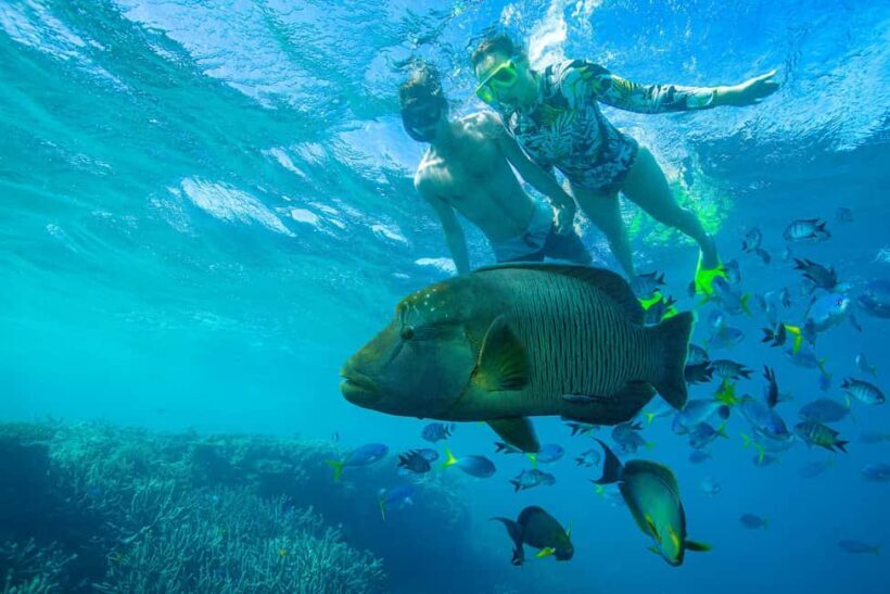 Airlie Beach: Adults-Only Whitehaven Beach Sailing Tour - The Return Journey & Sunset Views