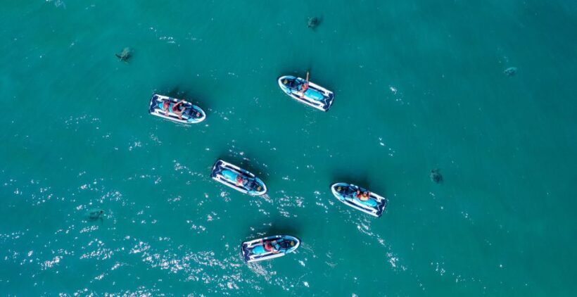 Airlie Beach: Airlie Adventure Jet Ski Tour - Marine Life and Seasonal Sightings