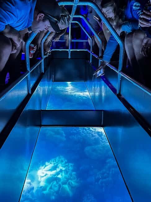 Airlie Beach: Glass-Bottom Boat Night Tour - Key Points