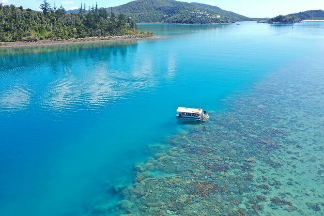 Airlie Beach Glass Bottom Boat Tour - An Honest Look at the Experience