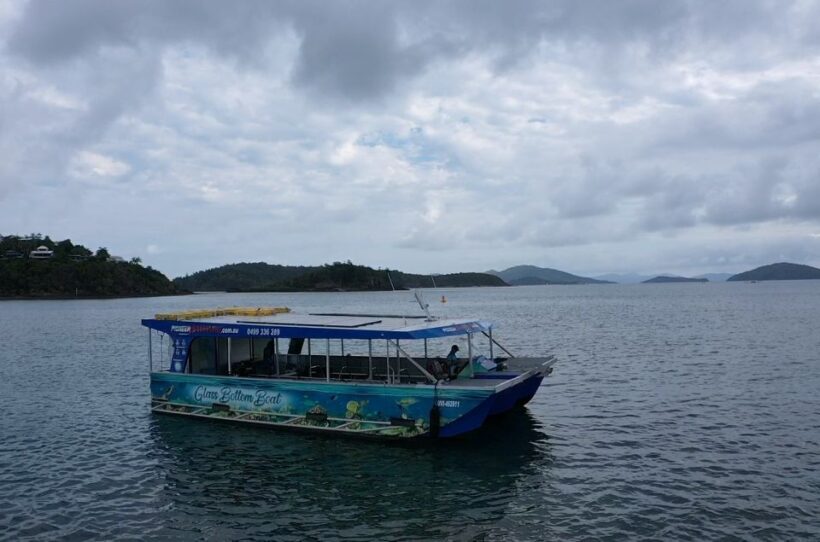 Airlie Beach: Glass-Bottom Boat Tour - An In-Depth Look at the Tour Experience