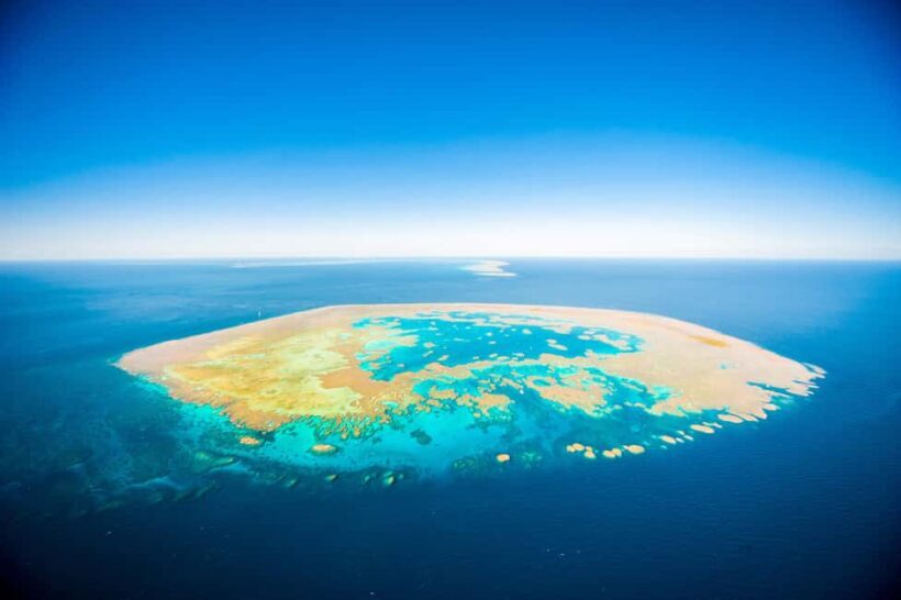 Airlie Beach: Great Barrier Reef Snorkel from Shute Harbour - Who Should Consider This Tour?