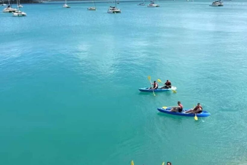Airlie Beach: Half Day Turtle Tour Sea Kayaking Adventure - Key Points