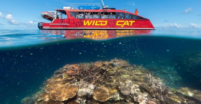 Airlie Beach: Outer Great Barrier Reef Snorkeling Day Trip - Who Will Love This Tour?
