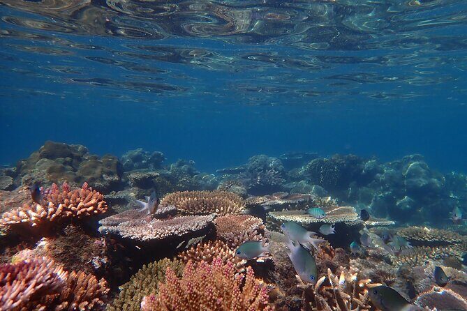 Airlie Beach- Private full day catered & crewed yacht charter - Is This Tour for You?