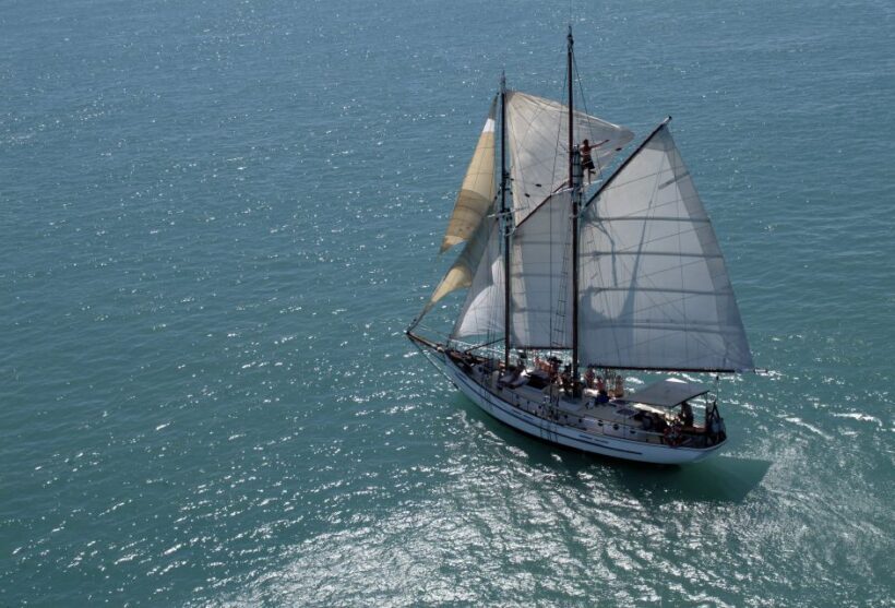 Airlie Beach: Providence Whitehaven Day Sail with Snorkeling - Final Thoughts: Is It Worth It?