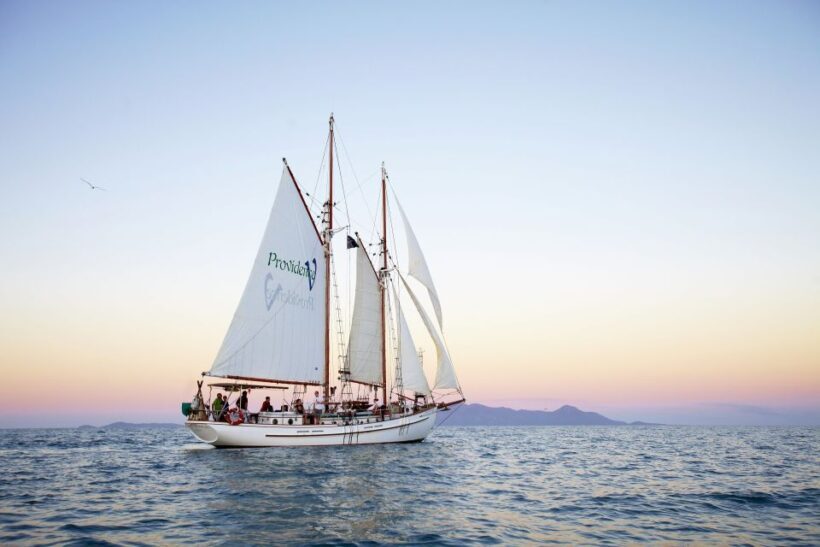 Airlie Beach: Providence Whitsundays Tallship Sunset Sail - Aboard the Tall Ship