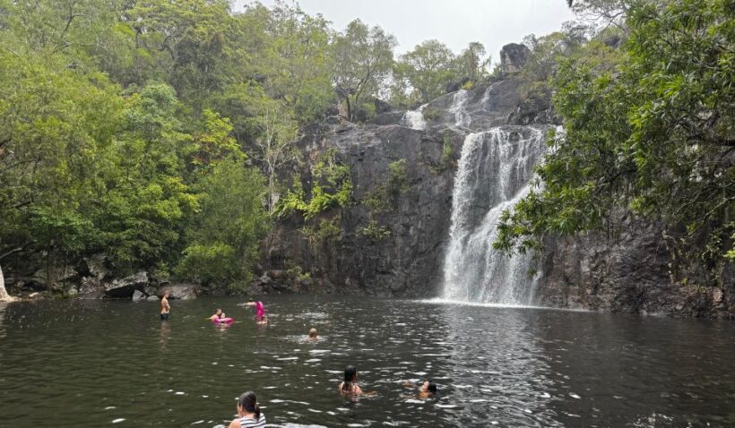Airlie Beach: Roundtrip Tour to Cedar Creek. - A Practical Guide to the Cedar Creek Tour