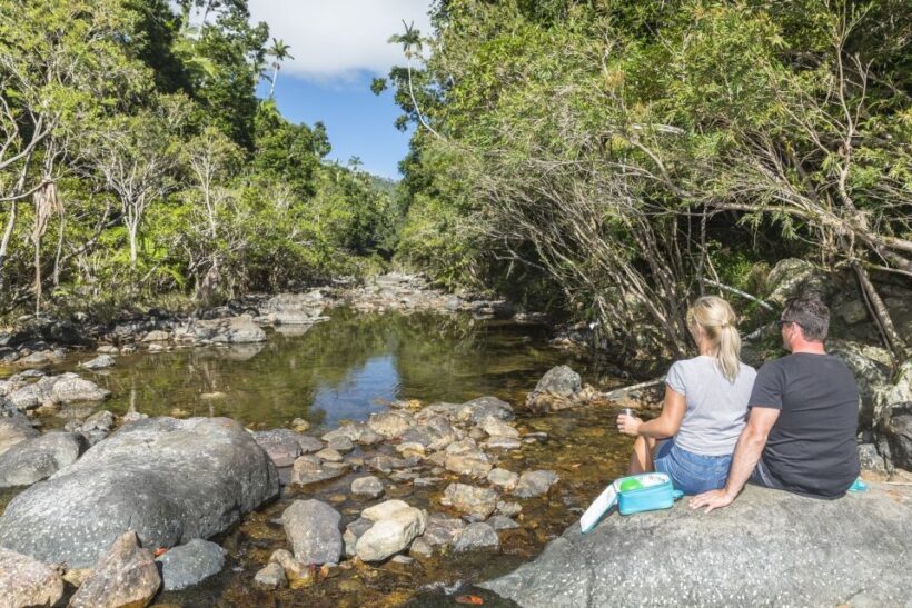 Airlie Beach: Segway Rainforest Discovery Tour - A Closer Look at the Tour Experience