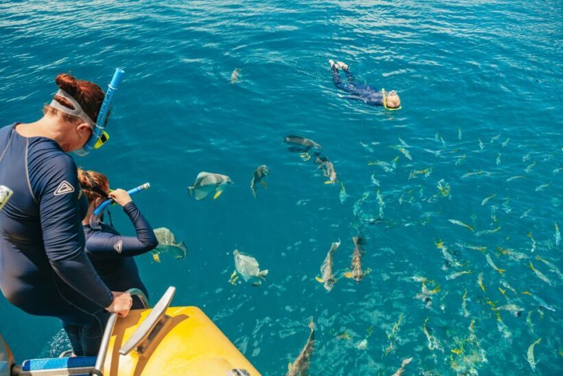 Airlie Beach: Snorkel, Hill Inlet Lookout & Whitehaven Beach - FAQs