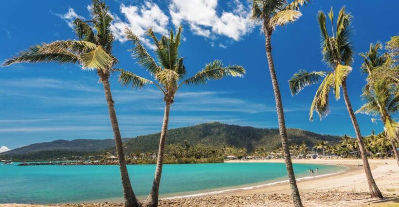 Airlie Beach: The Airlie Hopper Sightseeing Bus - Key Points