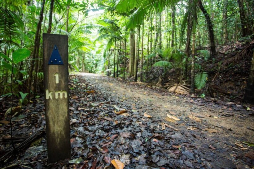 Airlie Beach: The Airlie Hopper Sightseeing Bus - What Do Travelers Say?